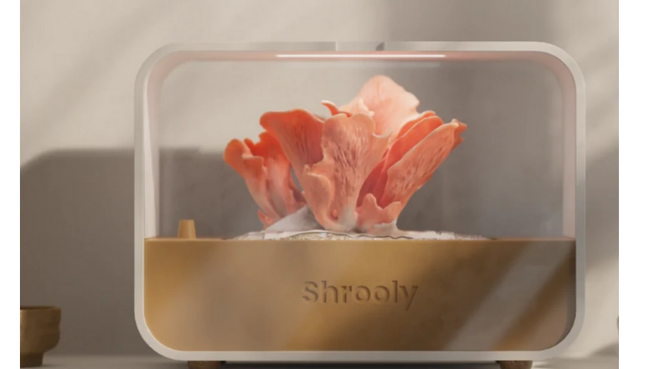 Shrooly, faites pousser vos champignons avec votre smartphone.